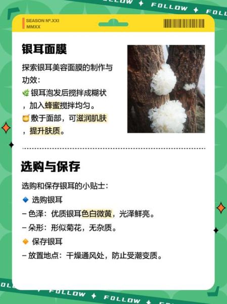 白木耳的营养价值_白木耳的功效与作用-第2张图片-山城妙识