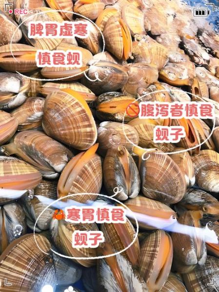 蚬子和蛤蜊哪个贵_价格差异原因-第3张图片-山城妙识 蚬子和蛤蜊哪个贵_价格差异原因-第3张图片-山城妙识