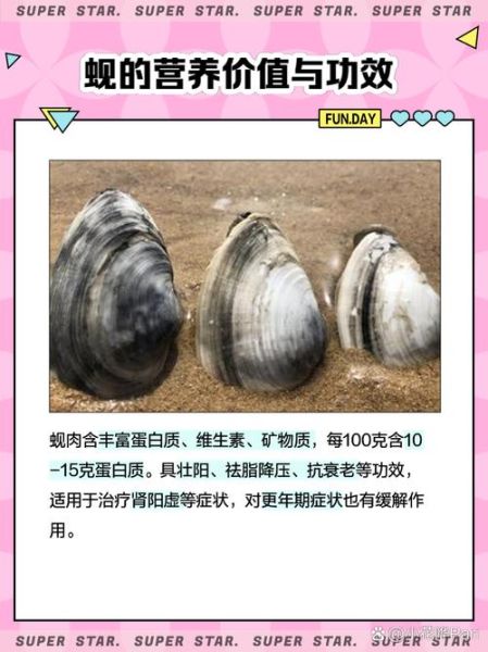 蚬子和蛤蜊哪个贵_价格差异原因-第1张图片-山城妙识 蚬子和蛤蜊哪个贵_价格差异原因-第1张图片-山城妙识