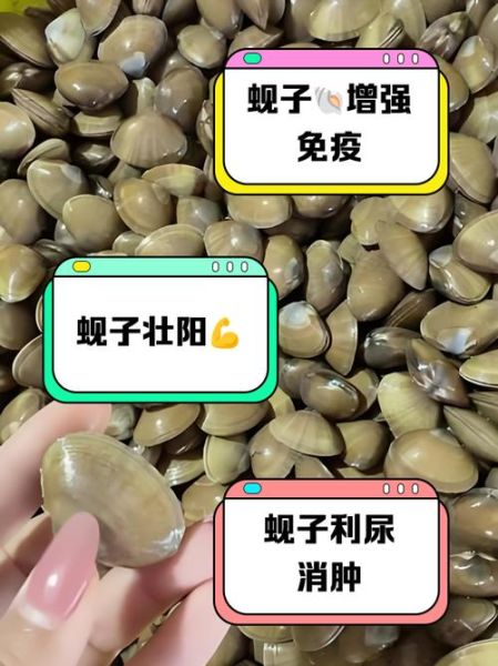 蚬子和蛤蜊哪个贵_价格差异原因-第2张图片-山城妙识 蚬子和蛤蜊哪个贵_价格差异原因-第2张图片-山城妙识
