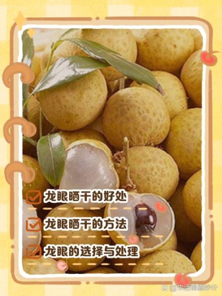 龙眼肉怎么晒干_龙眼肉晒干的制作方法-第1张图片-山城妙识 龙眼肉怎么晒干_龙眼肉晒干的制作方法-第1张图片-山城妙识