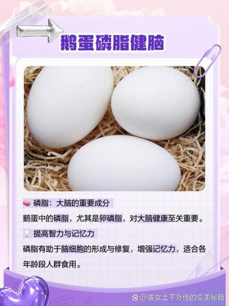 鹅蛋营养价值与功效_孕妇可以吃鹅蛋吗-第2张图片-山城妙识