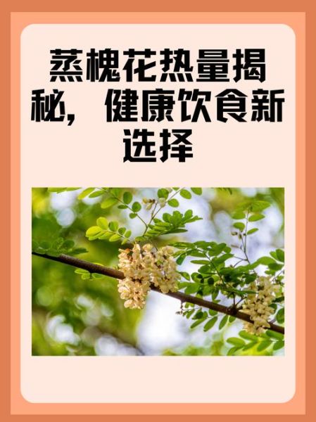 蒸槐花的热量是多少_减肥能吃吗-第1张图片-山城妙识 蒸槐花的热量是多少_减肥能吃吗-第1张图片-山城妙识