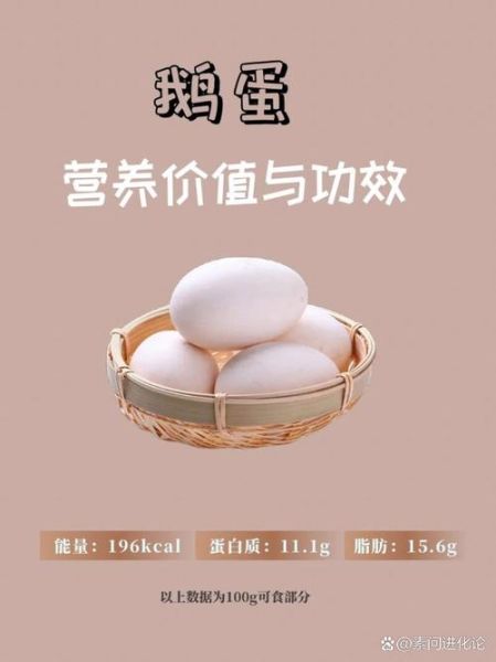 鹅蛋营养价值与功效_孕妇可以吃鹅蛋吗-第3张图片-山城妙识