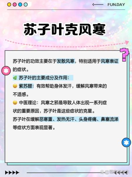 苏子叶冷冻保存能放多久_苏子叶怎么冷冻保存-第3张图片-山城妙识 苏子叶冷冻保存能放多久_苏子叶怎么冷冻保存-第3张图片-山城妙识