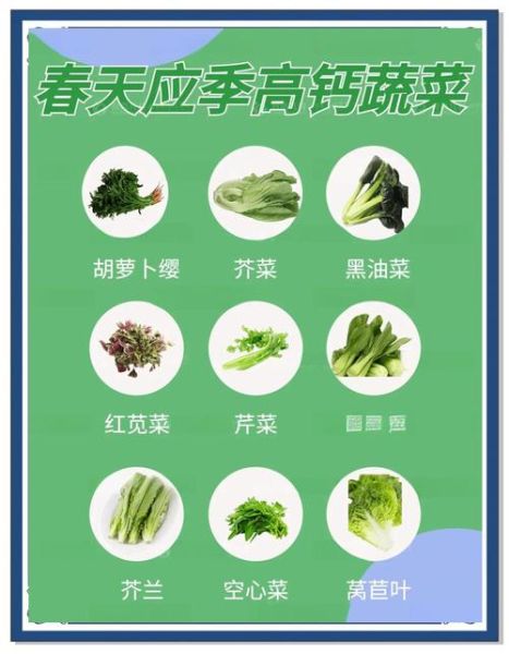 补钙的蔬菜有哪些_哪些蔬菜含钙量高-第1张图片-山城妙识