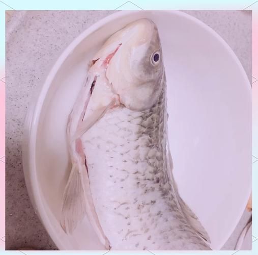 鲤鱼汤怎么做_家常鲤鱼汤的做法窍门-第3张图片-山城妙识 鲤鱼汤怎么做_家常鲤鱼汤的做法窍门-第3张图片-山城妙识