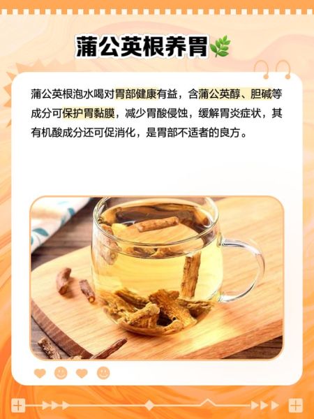 蒲公英根的功效与作用_蒲公英根能长期喝吗-第1张图片-山城妙识 蒲公英根的功效与作用_蒲公英根能长期喝吗-第1张图片-山城妙识