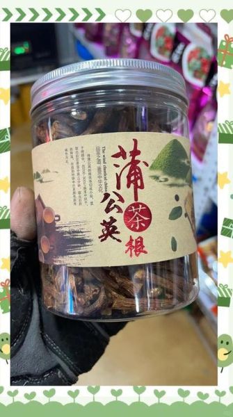 蒲公英根的功效与作用_蒲公英根能长期喝吗-第2张图片-山城妙识 蒲公英根的功效与作用_蒲公英根能长期喝吗-第2张图片-山城妙识