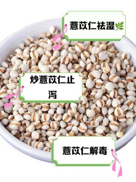 薏仁炒与不炒的区别_功效差异大吗-第2张图片-山城妙识