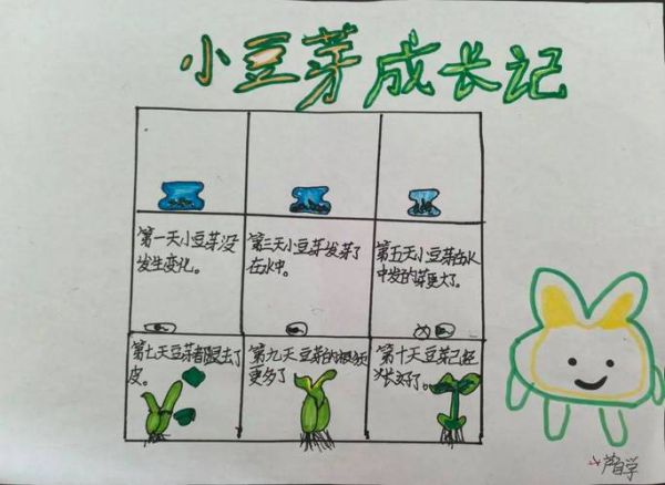 黄豆发芽需要几天_黄豆发芽七天变化图-第1张图片-山城妙识