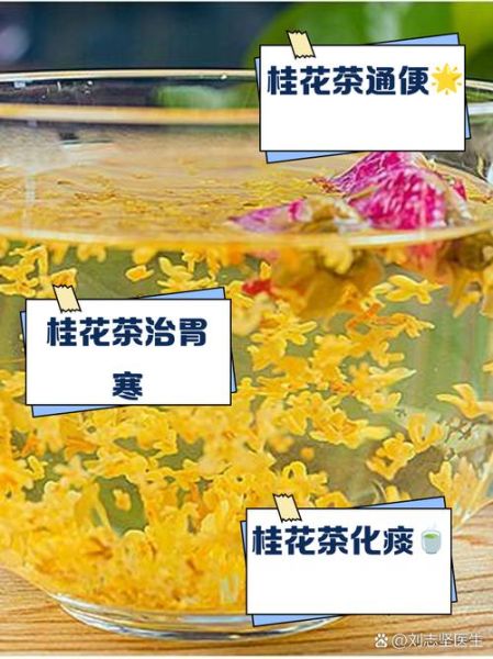 喝桂花茶的功效与作用_桂花茶适合什么人喝-第3张图片-山城妙识 喝桂花茶的功效与作用_桂花茶适合什么人喝-第3张图片-山城妙识
