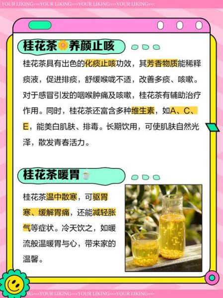 喝桂花茶的功效与作用_桂花茶适合什么人喝-第2张图片-山城妙识 喝桂花茶的功效与作用_桂花茶适合什么人喝-第2张图片-山城妙识