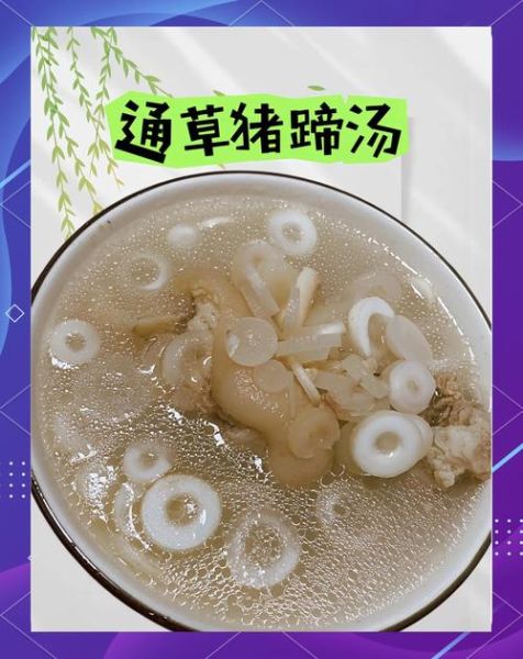 通草猪蹄汤禁忌_哪些人不能喝-第1张图片-山城妙识