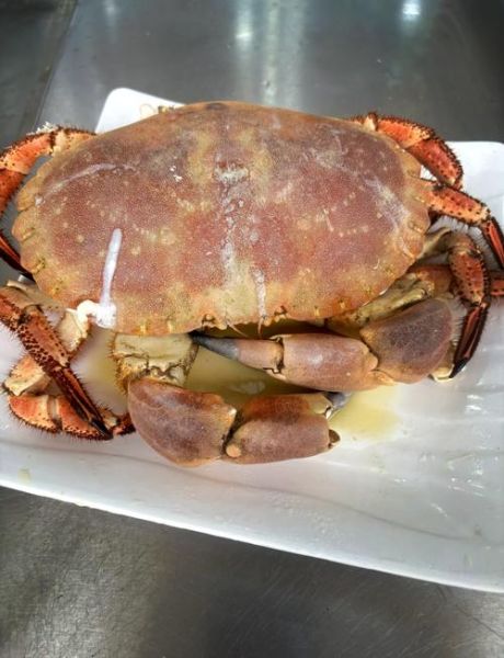 鲜活面包蟹怎么蒸_蒸多久才最鲜嫩-第2张图片-山城妙识 鲜活面包蟹怎么蒸_蒸多久才最鲜嫩-第2张图片-山城妙识