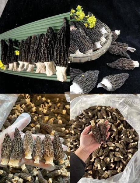 皮肚怎么泡发_皮肚泡发多久才软-第1张图片-山城妙识 皮肚怎么泡发_皮肚泡发多久才软-第1张图片-山城妙识