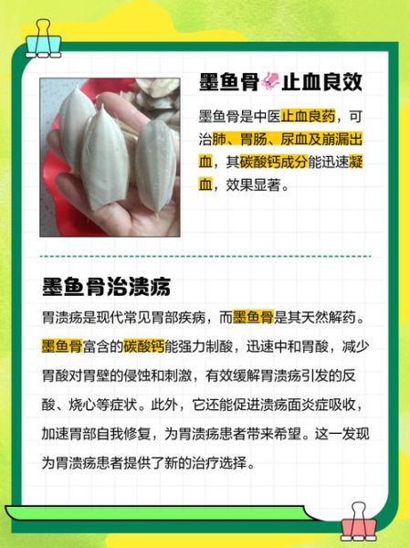 墨鱼骨头有什么用_墨鱼骨头的功效与作用-第1张图片-山城妙识 墨鱼骨头有什么用_墨鱼骨头的功效与作用-第1张图片-山城妙识