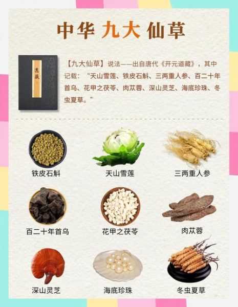 仙草供应商哪家好_如何挑选靠谱仙草批发商-第1张图片-山城妙识 仙草供应商哪家好_如何挑选靠谱仙草批发商-第1张图片-山城妙识