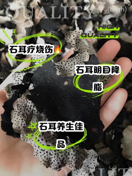 石耳的功效与作用_石耳怎么吃效果最好-第1张图片-山城妙识