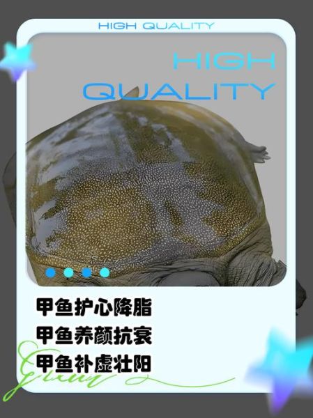 甲鱼的营养价值_哪些人不能吃甲鱼-第1张图片-山城妙识