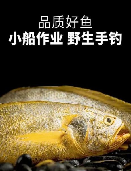 小黄鱼和黄花鱼一样吗_区别与选购指南-第2张图片-山城妙识 小黄鱼和黄花鱼一样吗_区别与选购指南-第2张图片-山城妙识