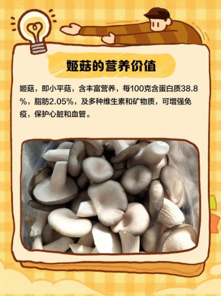 姬菇和平菇的区别_哪个更好吃-第2张图片-山城妙识 姬菇和平菇的区别_哪个更好吃-第2张图片-山城妙识