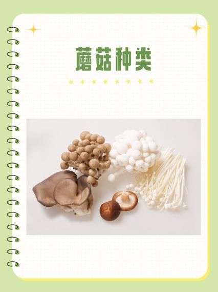 姬菇和平菇的区别_哪个更好吃-第1张图片-山城妙识 姬菇和平菇的区别_哪个更好吃-第1张图片-山城妙识