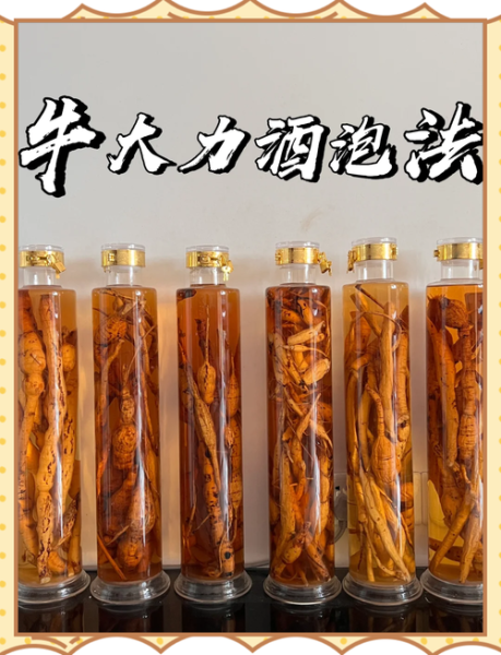 牛大力泡酒的功效与作用_牛大力泡酒配方比例-第1张图片-山城妙识 牛大力泡酒的功效与作用_牛大力泡酒配方比例-第1张图片-山城妙识