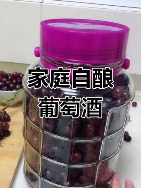 家庭葡萄酒的制作方法_自制葡萄酒发酵多久能喝-第3张图片-山城妙识