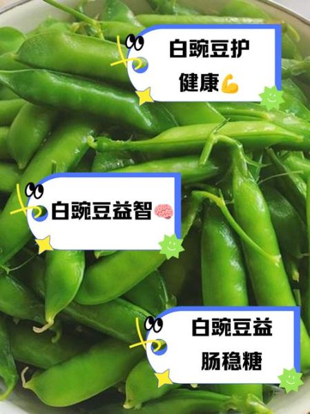 白豌豆的功效与作用禁忌_白豌豆哪些人不能吃-第2张图片-山城妙识