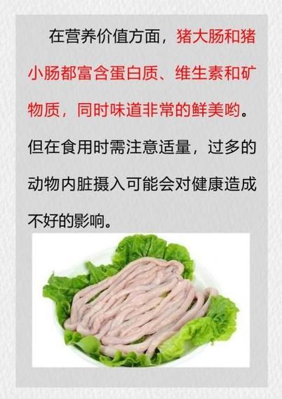 猪小肠和大肠的区别_哪个更营养-第1张图片-山城妙识