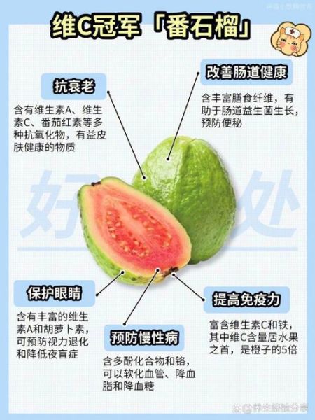 芭乐的功效与作用_芭乐的害处有哪些-第1张图片-山城妙识