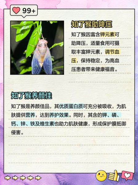 知了猴补肾吗_知了猴壮阳是真的吗-第1张图片-山城妙识