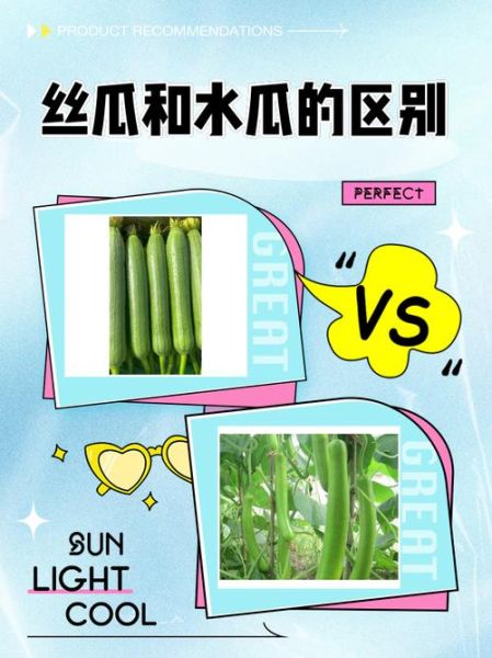 丝瓜和水瓜的区别_丝瓜水瓜哪个更营养-第1张图片-山城妙识