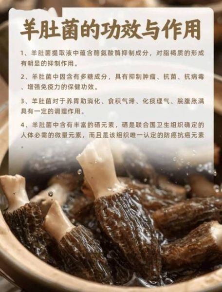 羊肚菌图片价格多少钱一斤_如何辨别真假羊肚菌-第3张图片-山城妙识 羊肚菌图片价格多少钱一斤_如何辨别真假羊肚菌-第3张图片-山城妙识