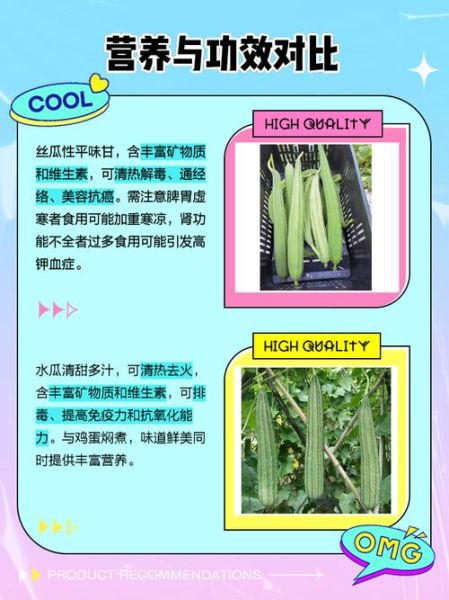 丝瓜和水瓜的区别_丝瓜水瓜哪个更营养-第2张图片-山城妙识