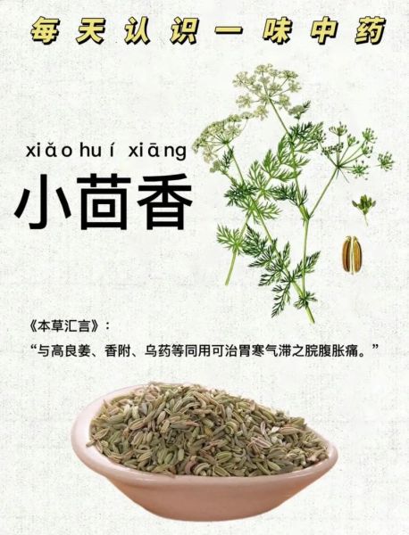 小茴香哪些人不能吃_小茴香禁忌人群-第3张图片-山城妙识 小茴香哪些人不能吃_小茴香禁忌人群-第3张图片-山城妙识