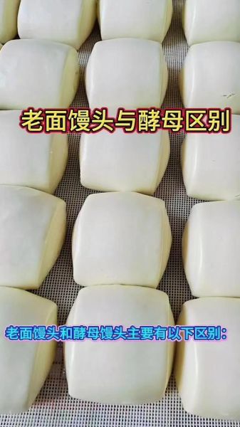 酵母粉蒸馒头怎么做_蒸馒头用酵母粉比例是多少-第2张图片-山城妙识