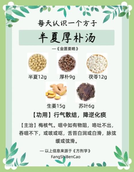 厚朴七物汤的功效与作用_适合哪些症状-第3张图片-山城妙识 厚朴七物汤的功效与作用_适合哪些症状-第3张图片-山城妙识