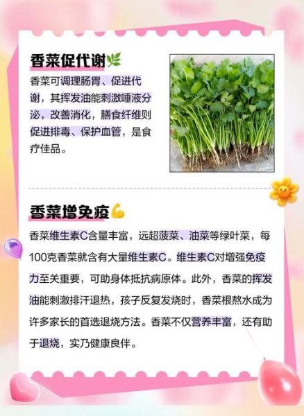 香菜的功效与作用禁忌_什么人不能吃香菜-第3张图片-山城妙识 香菜的功效与作用禁忌_什么人不能吃香菜-第3张图片-山城妙识