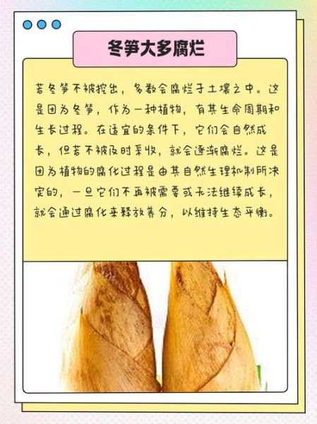 冬笋和春笋哪个营养价值高_冬笋春笋营养对比-第3张图片-山城妙识 冬笋和春笋哪个营养价值高_冬笋春笋营养对比-第3张图片-山城妙识