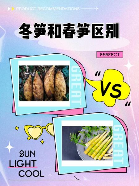 冬笋和春笋哪个营养价值高_冬笋春笋营养对比-第1张图片-山城妙识 冬笋和春笋哪个营养价值高_冬笋春笋营养对比-第1张图片-山城妙识