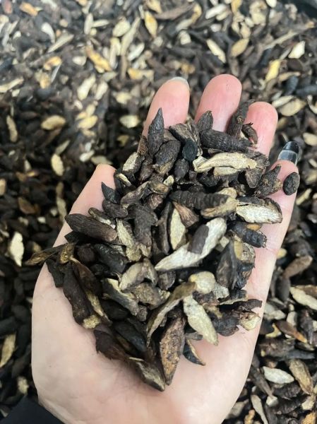 香附的功效与作用_香附怎么吃效果好-第3张图片-山城妙识 香附的功效与作用_香附怎么吃效果好-第3张图片-山城妙识