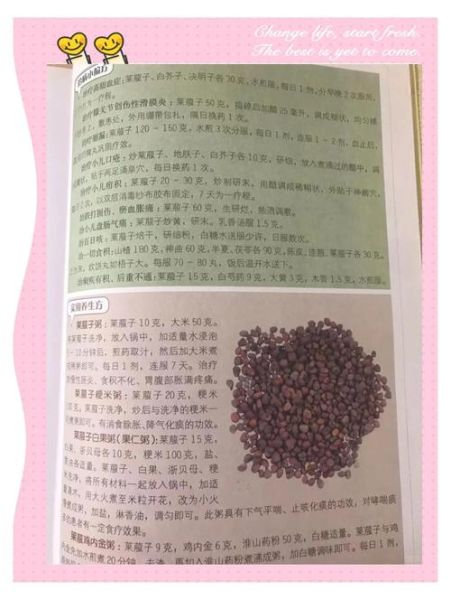 莱菔子泡水喝的功效_莱菔子泡水一天喝几次-第1张图片-山城妙识