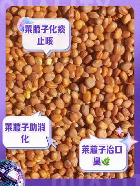 莱菔子泡水喝的功效_莱菔子泡水一天喝几次-第2张图片-山城妙识