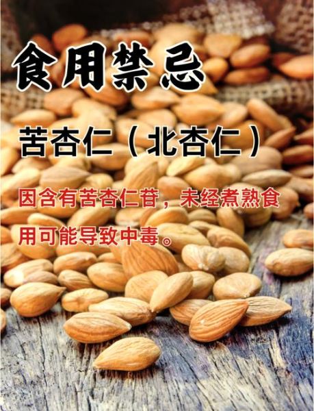 长期吃苦杏仁有什么好处_苦杏仁每天吃多少合适-第2张图片-山城妙识 长期吃苦杏仁有什么好处_苦杏仁每天吃多少合适-第2张图片-山城妙识