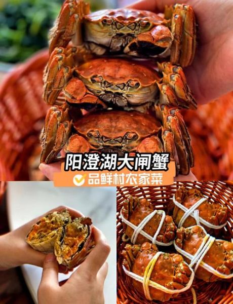 阳澄湖大闸蟹哪里好_正宗产地怎么挑-第3张图片-山城妙识