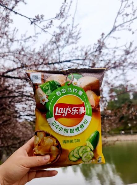 乐事薯片新口味好吃吗_哪里买最划算-第1张图片-山城妙识