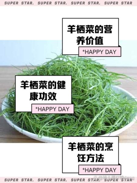 羊栖菜多少钱一斤_羊栖菜价格受哪些因素影响-第1张图片-山城妙识 羊栖菜多少钱一斤_羊栖菜价格受哪些因素影响-第1张图片-山城妙识