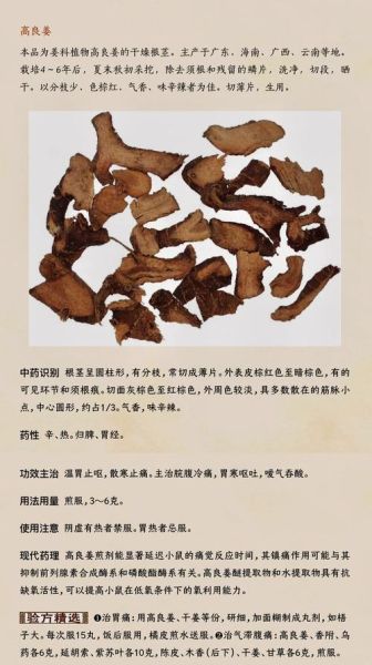 高良姜的副作用有哪些_高良姜吃多了会怎样-第1张图片-山城妙识 高良姜的副作用有哪些_高良姜吃多了会怎样-第1张图片-山城妙识